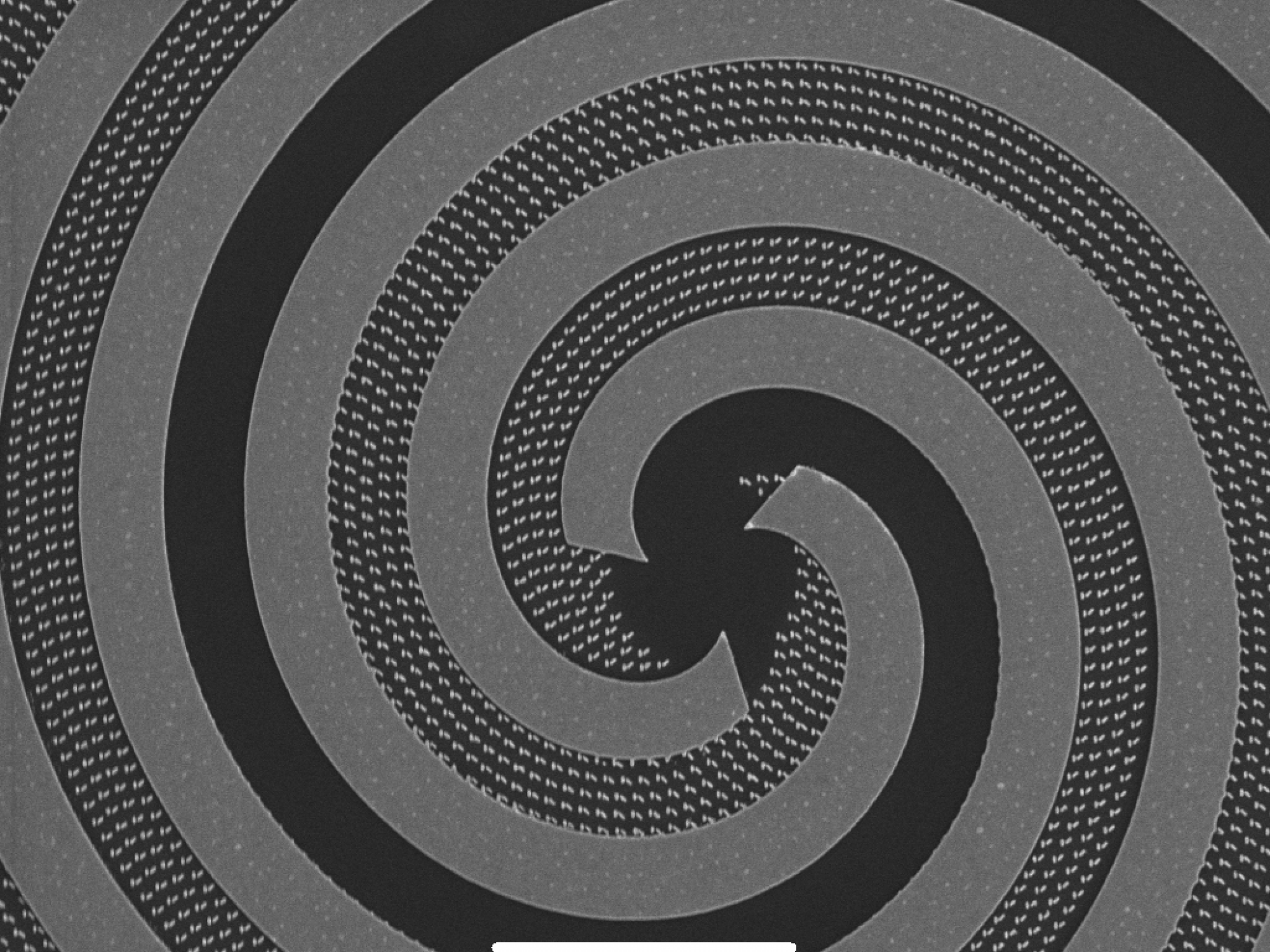 Roberts Group: Meta-optics, nanophotonics, and imaging